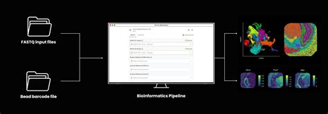 Streamline Spatial Omics Analysis