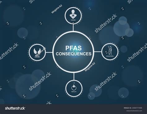 Pfas Health Consequences Infographic Diagram Infographic Stock Vector Royalty Free 2594777495