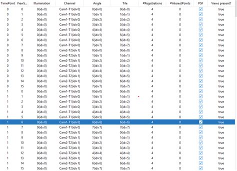 Bigstitcher Multiview Deconvolution Not Working Usage And Issues Imagesc Forum