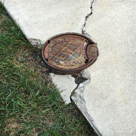 Rust Dataset Object Detection Model V1 2023 12 18 231am By Rust