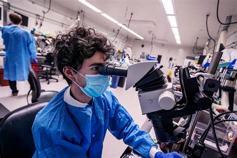 Neuropixels Electrophysiology Allen Institute For Neural Dynamics