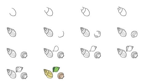 How To Draw Seashells Step By Step Hand Of Art