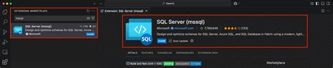 Panoramica Dellestensione Mssql Per Visual Studio Code Sql Server