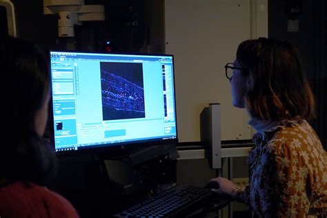 Array Tomography The Best Of Both Worlds France BioImaging