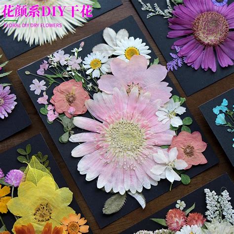 어린이 말린 꽃 양각 장식 식물 표본 그림 꽃잎 재료 패키지 수제 Diy 사진 프레임 접착제 양각 꽃 테이블 램프 꽃 재료 축제 And 파티 용품