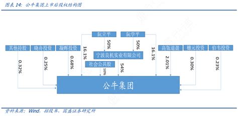 公牛集团上市后股权结构图行行查行业研究数据库