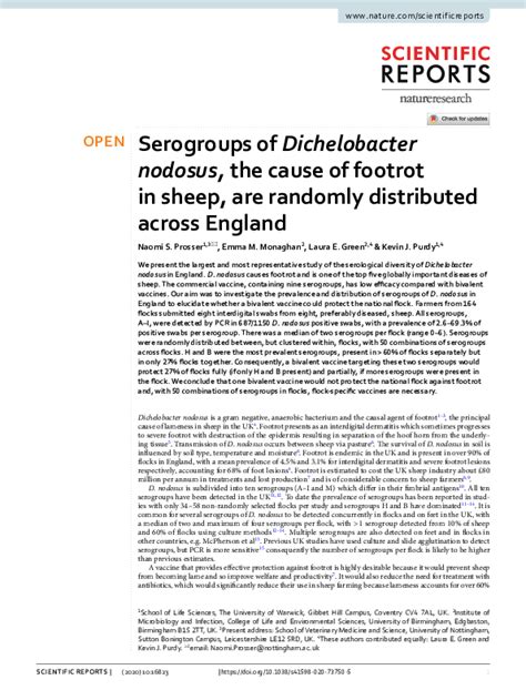Pdf Effectiveness Of Different Adjuvants In Stimulating Dichelobacter Nodosus Antibody In