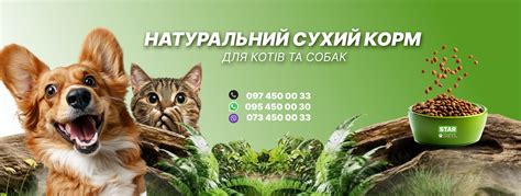 Притулок для тварин Притулок для тварин Вуглик