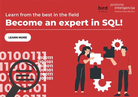 Poslovna Inteligencija On Linkedin Sql Databases Fundamentals For Data Analysis Bird Academy