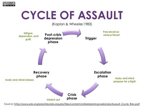 Aggression Violence And Mental Illness