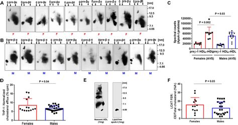 Measurement Of High Density Lipoprotein HDL Function In Patients With Download Scientific