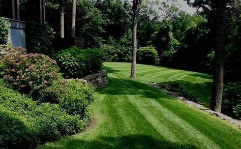Overseeding Lawn How To Plant Grass Seed On Existing Lawn Overseeding Lawn Planting Grass