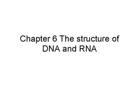 Chapter 6 The Structure Of DNA And RNA