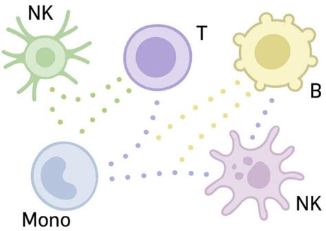 [논문 리뷰] Clustering With Communication A Variational Framework For Single Cell Representation