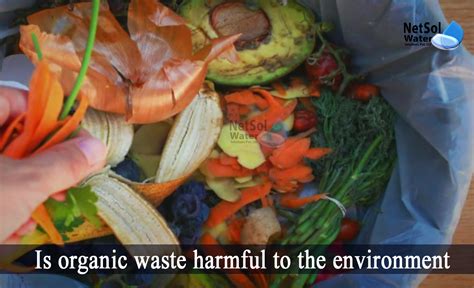 Is Organic Waste Harmful To The Environment Netsol Water