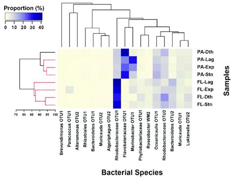 Heatmap For A Comparison Of The Bacterial Community Composition Among