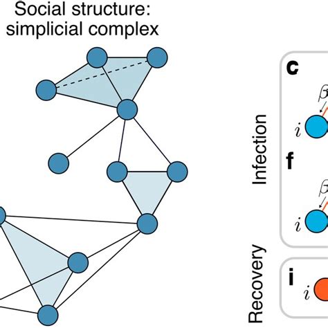Generalised Degree Distributions Of Random Simplicial Complexes Rsc Download Scientific