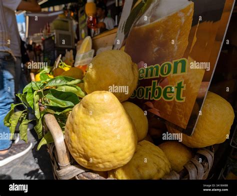 Sorrento Italy May 26 Massive Lemons On Display In Sorrento