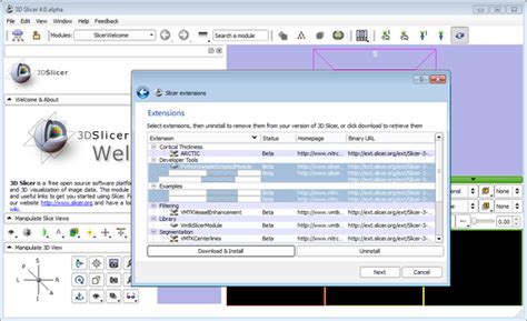 documentation nightly developers imagegallery slicer wiki
