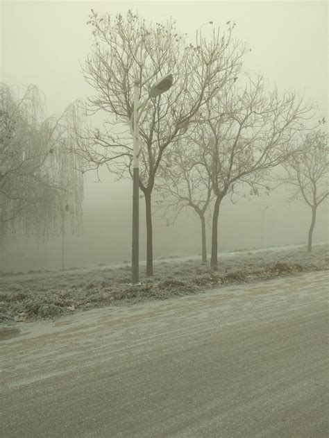 北方霧霾中難得的風景 每日頭條