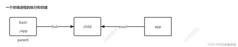 linux下system 函数详解简介，system 与execl 的区别，popen linux system csdn博客