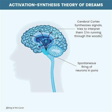 activation synthesis theory of dreams mcat psychology concept