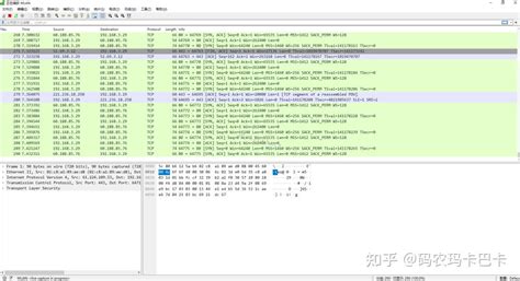Wireshark 4 0 0 来了！ 知乎