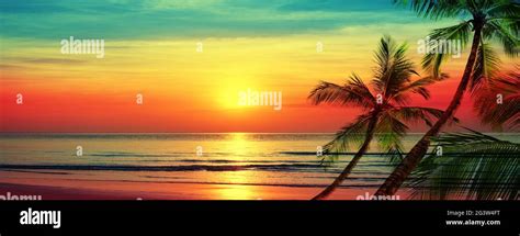 Exotic Tropical Sunset Beautiful Beautiful Sunset On The Beach Palm