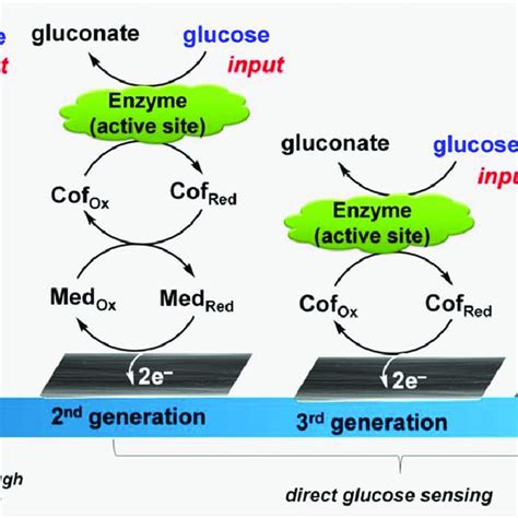 Different Generations Of The Electrochemical Glucose Sensor Adapted