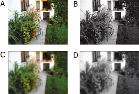 Example Of The Stimulus Color Conditions Used In Experiment 2 A