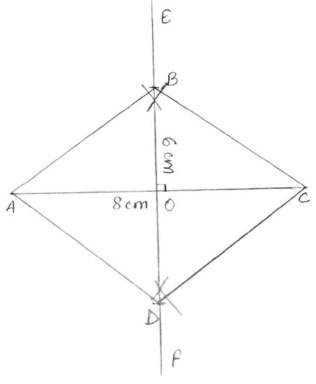 Construct A Rhombus Abcd If Diagonal Ac 8 Cm And Knowledgeboat