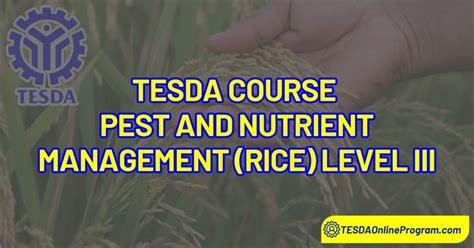 Tesda Pest And Nutrient Management Rice Level Iii Course Tesda