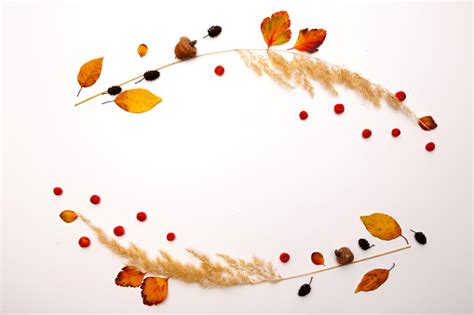 흰색 배경에 말린 천연 가을 잔디 노란색 잎과 붉은 로완 열매의 프레임 공간을 복사합니다 플랫 레이 0명에 대한 스톡 사진 및 기타 이미지 Istock