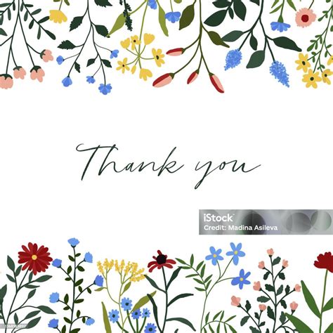 야생화와 꽃 배경 식물 봄 여름 꽃 감사 카드 디자인 템플릿 정원 꽃 녹지 야생 꽃 엽서 인쇄 네이처 와일드 허브 디자인 플랫