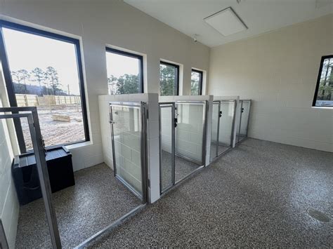 Boarding The Fetching Post