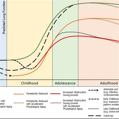 Outline Of Potential Lung Function Trajectories And Lung Function