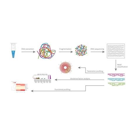 Services Dawn Of Bioinformatics Bioinformatics Services Genomics Proteomics Rnaseq