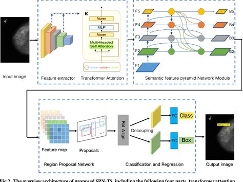 Figure 1 From Cancer Detection For Small Size And Ambiguous Tumors Based On Semantic Fpn And
