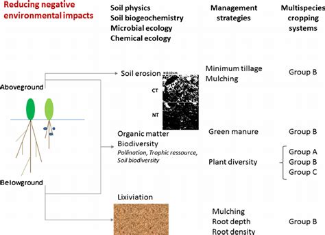 Relationship Between Ecosystem Functions For Reducing Environmental