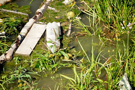 강둑 근처 슬러지 물에서 다른 다양한 쓰레기 플라스틱 병 0명에 대한 스톡 사진 및 기타 이미지 0명 가까운 강 Istock
