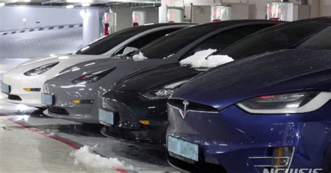 전기차 살 때 울릉도 가라…1000만원 더 싼 이유는