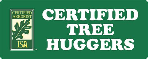 What Is The Difference Between Tree Trimming And Tree Pruning