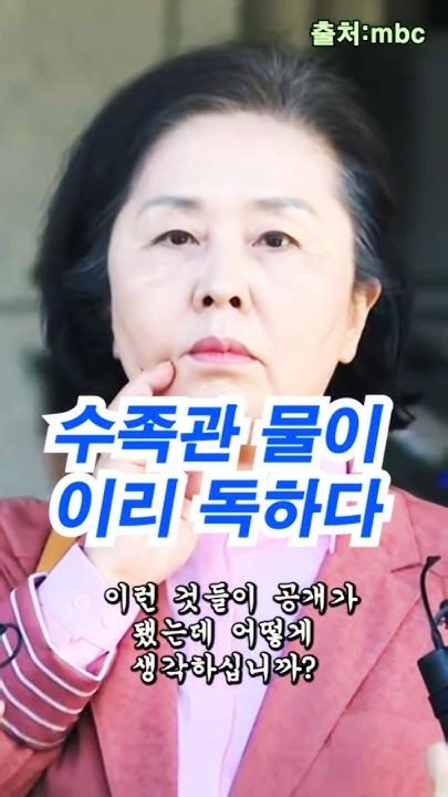 김영선 명태균이 두둔 😁 Youtube