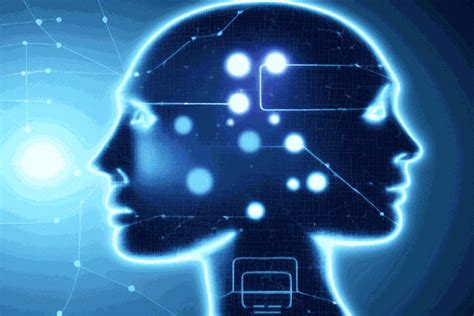 Local Explainability Aipedia