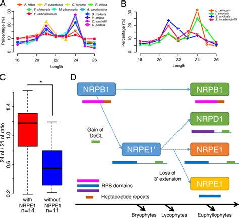 Size Distribution Of Small Rna Reads A Relative Proportions Of Small