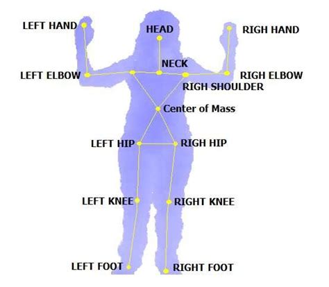 The 3d Articulated Human Model Consisting Of 15 Distinctive Points