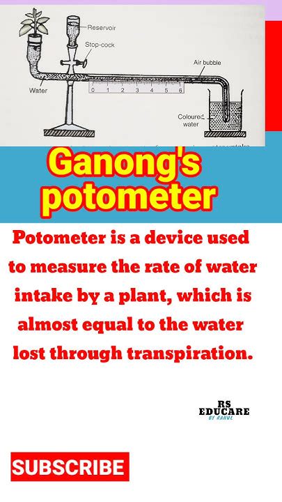 Ganongs Potometerwhat Is Potometeruses Of Potometershortsbiology