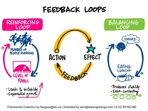Feedback Loops Complex Systems Frameworks Collection Simon Fraser