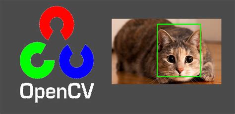 guide to make custom haar cascade xml file for object detection with