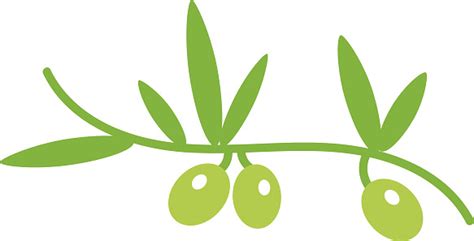 벡터 특이 한 올리브 브랜치 분리 기호 아이콘 일러스트 레이 션 및 기호 서식 파일 건강한 생활방식에 대한 스톡 벡터 아트 및 기타 이미지 건강한 생활방식 건강한